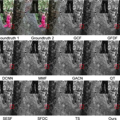 Partial Images And Gaussian Blur Processing In The Dataset We Proposed