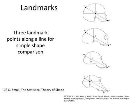 Pdf Shape Classification And Cell Movement In 3d Matrix Classification And Cell Movement