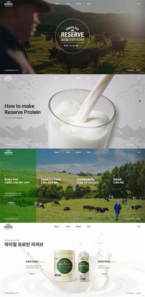 Ui Ux Design 식품 관련 모음에 있는 Gdweb님의 핀 웹디자인 웹 디자인 레이아웃 빈티지 여행 포스터