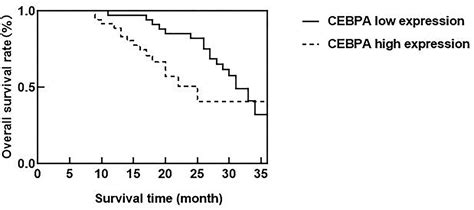 Frontiers Expression Of Enhancer Binding Protein CEBPA MRNA And Protein In Ovarian Cancer And