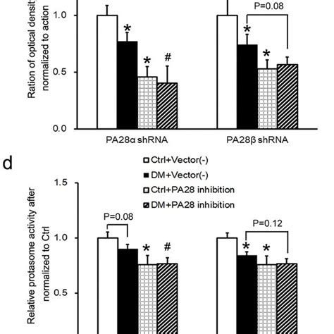 Pma Lps And Ifn γ Treatment Promoted Thp 1 Cells Differentiation To M1