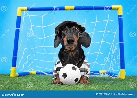 Funny Goalkeeper Jumping And Catching Football Soccer Ball Photo Filter