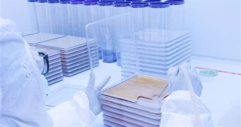 DNA Suspension Buffer PH 8 0 100mL Sterile DNase RNase Tested PCR