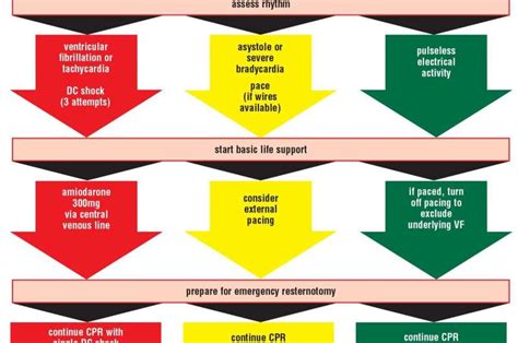 Simulation Sessions Help Icu Clinicians Prepare For High Risk