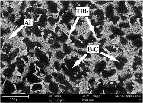 The Sem Microstructure Of B 4 Cal Composite Download Scientific Diagram