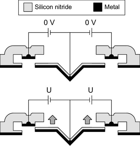 Working Principle Of The Electrostatically Actuated Double Cantilever Download Scientific