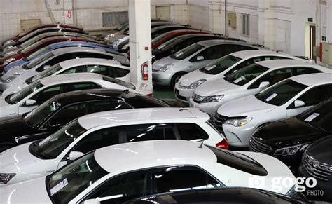 Тээврийн хэрэгслийн бүртгэлээ хэрхэн харах вэ