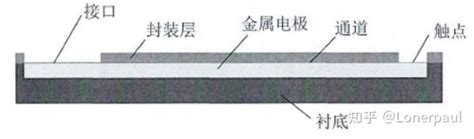 比头发丝儿还细的线如何获取大脑信号——解密马斯克neuralink电极工艺 知乎