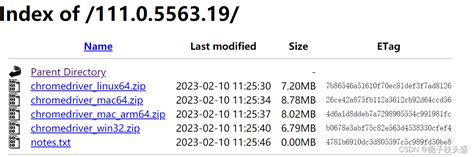 Python爬虫学习日志 使用selenium爬取动态网页数据selenium为什么能爬取动态网页 Csdn博客