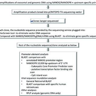 Schematic Of The Steps In Exosomal And Genomic Dna Sequence Analysis