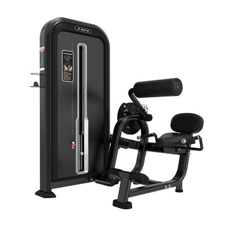 Top Quality Commercial Use Gym Equipment Back Extension Machine China