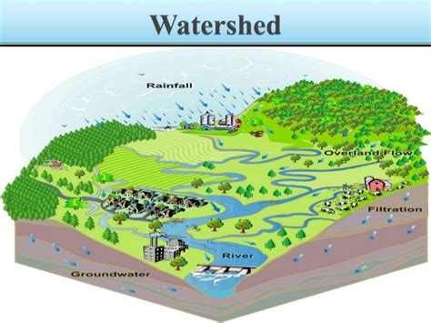APES Watersheds Unit 4 Diagram Quizlet
