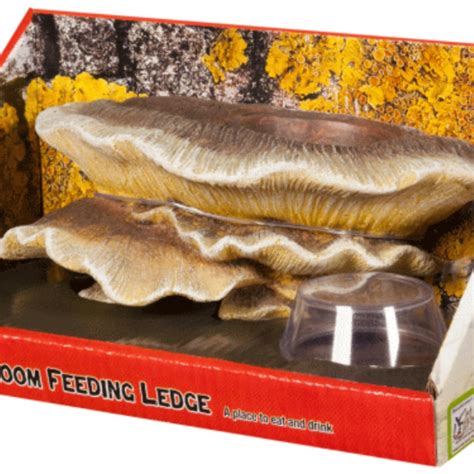 Zilla Mushroom Ledge Reptile Factory Socal