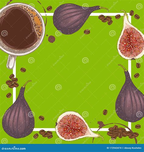 Square Green Cafe Menu Template Stock Vector Illustration Of Circle