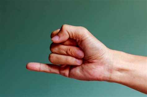 15 Amazing Facts About The Human Body Article Quizony