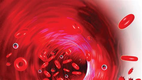 Federation Wants All Mumbai Blood Banks To Adopt Haemovigilance