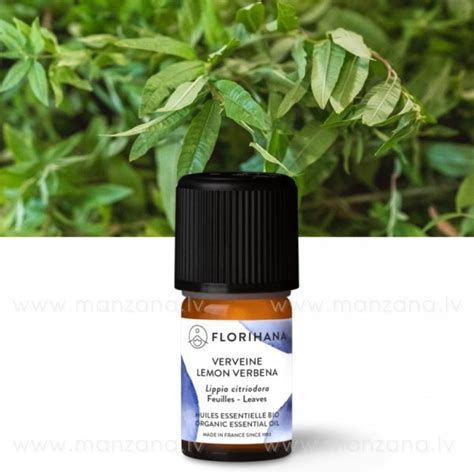 Вербена лимонная (LEMON VERBENA) эфирное масло – Manzana.lv