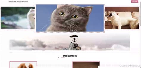 基于django vue宠物领养系统的设计与实现【开题报告 程序 论文】 计算机毕设 csdn博客