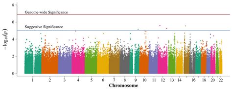Manhattan Plot For Population Based Study With Case And Control