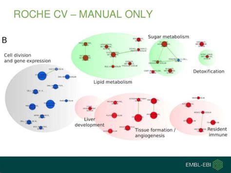 the gene ontology and gene ontology annotation resources