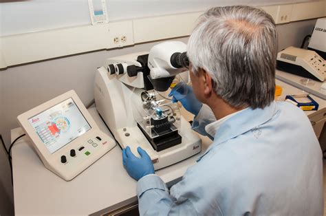 Mammalian Transient Protein Expression Market Players Eye Opportunities