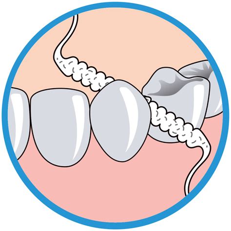 how to floss properly web dmd