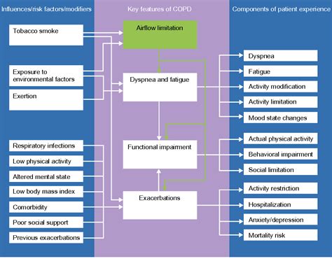 Figure 1 From Beyond Fev1 In Copd A Review Of Patient Reported Outcomes And Their Measurement