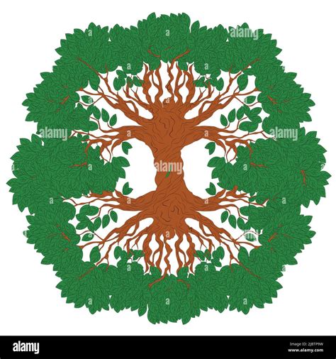 Yggdrasil Tree Celtic Symbol Of The Ancient Vikings The Symbol Of The