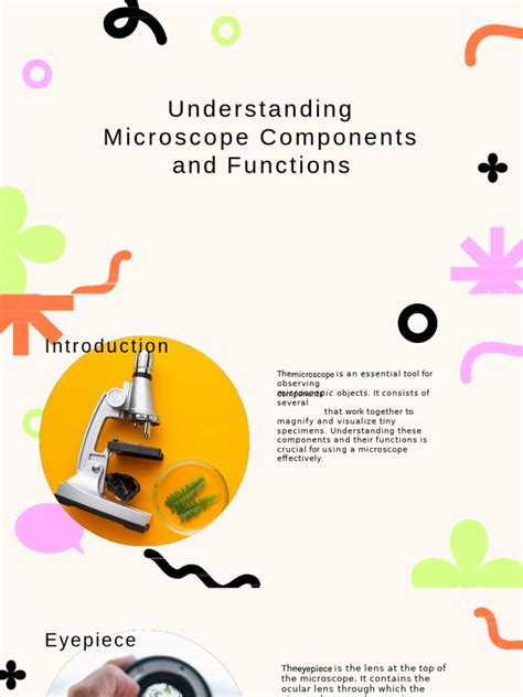 Understanding Microscope Components And Functions 20240501021611brqg