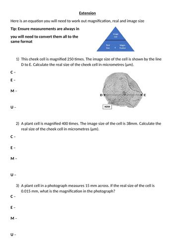 Aqa Magnification Calculations Teaching Resources