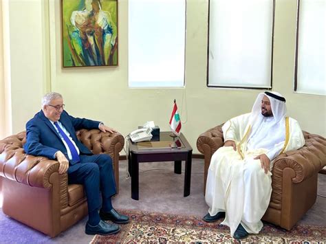 Minister Of State At Ministry Of Foreign Affairs Meets Foreign Minister