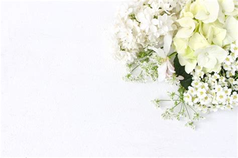 清楚な印象の白い花束｜プレゼントにぴったりな種類も紹介 胡蝶蘭・スタンド花のプレミアガーデン