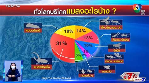 ตตรงจด แมลงมากคณคาทางอาหาร เพมชองทางทำเงน