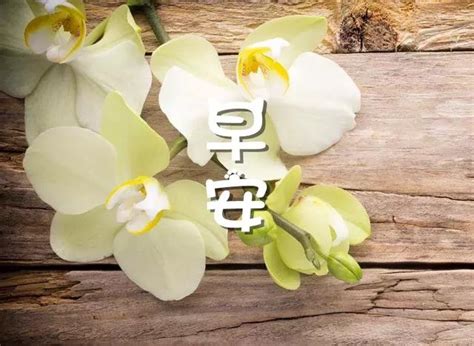 早晨問安：煩惱是自找的，不是別人給你的，早安！ 每日頭條