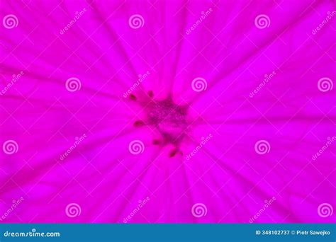 Lemon Cross Section Structure Pattern Background Color Veg Stock Image Image Of Garden