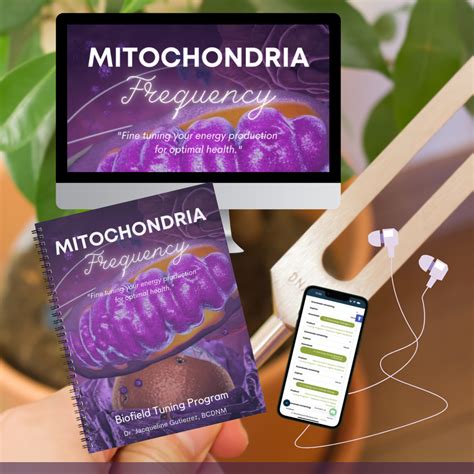 Mitochondria Frequency Biofield Tuning Program (Sessions, Printed & Digital Workbook) - The ...