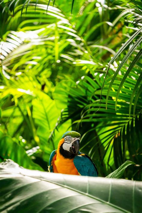 400 000 ฟรี Background And Nature รูปภาพ Pixabay