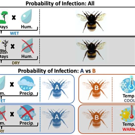Schematic Diagram Depicting The Associations Between Climate And Nosema