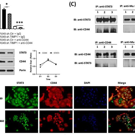 Formalin Fixed Paraffin Embedded Surgical Pathology Specimens From Download Scientific Diagram