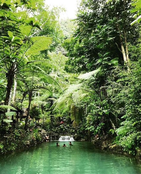 Pesona Sungai Mudal Kulon Progo Airnya Jernih Banget