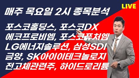 포스코홀딩스 포스코dx 포스코퓨처엠 에코프로비엠 에코프로 삼성sdi Lg에너지솔루션 Sk아이이테크놀로지 금양
