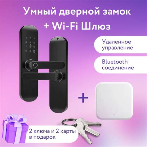 Умный электронный кодовый замок RoomSharing Standart Черный и Wi-Fi ...