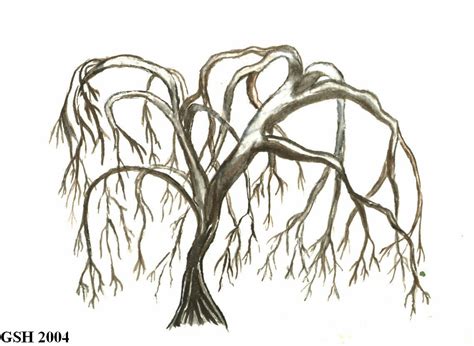 Weeping Willow Sketch At Explore Collection Of Weeping Willow Sketch At Explore Collection Of