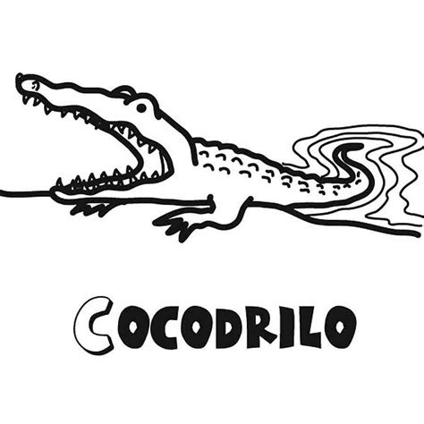 Actualizar 91 Imagen Cocodrilo Dibujo Facil Abzlocal Mx