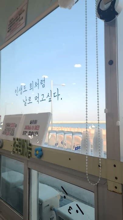 인생도 회처럼 날로 먹고싶다♡♡ Youtube