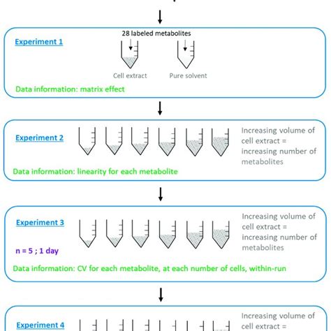 Workflow Applied For The Study Of The Impact Of In Vitro Cell Extracts