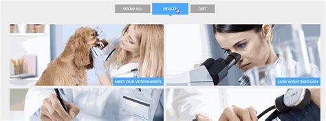Medicus Html Template Documentation