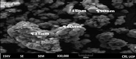 Sem Micrograph Of Synthesized Agnps Download Scientific Diagram