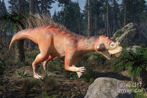 Psittacosaurus Dinosaur Photograph By Roger Harrisscience Photo