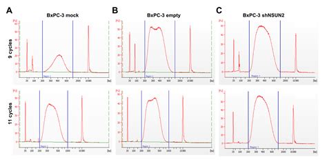 Enrichment Of Mrna And Bisulfite Mrna Library Preparation For Next